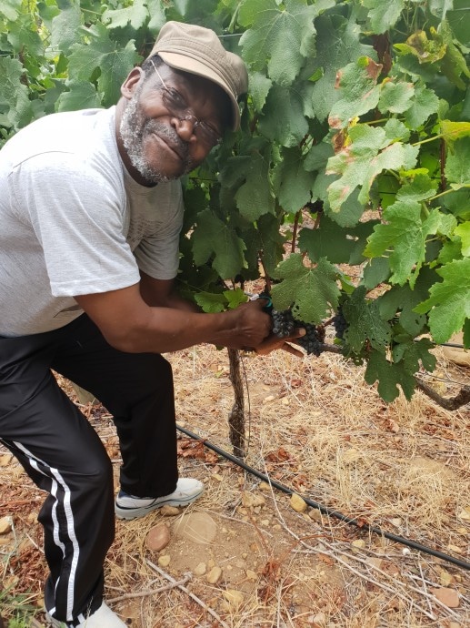 2019 Harvest Day celebrations at STIAS | STIAS: The Stellenbosch ...