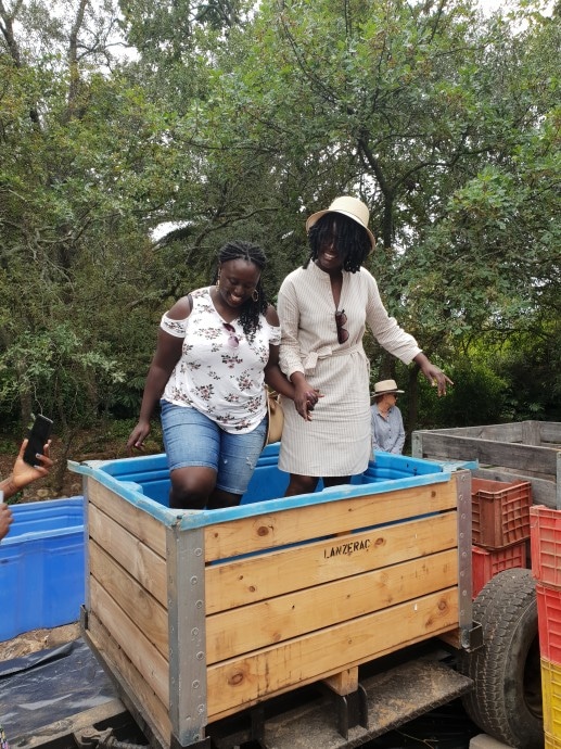 2019 Harvest Day celebrations at STIAS | STIAS: The Stellenbosch ...